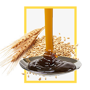Malt Extract Liquid